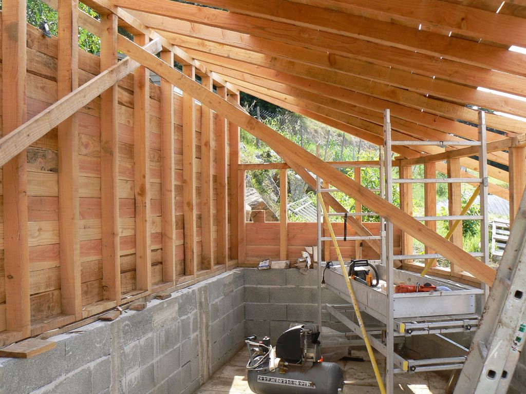 Les premières planches